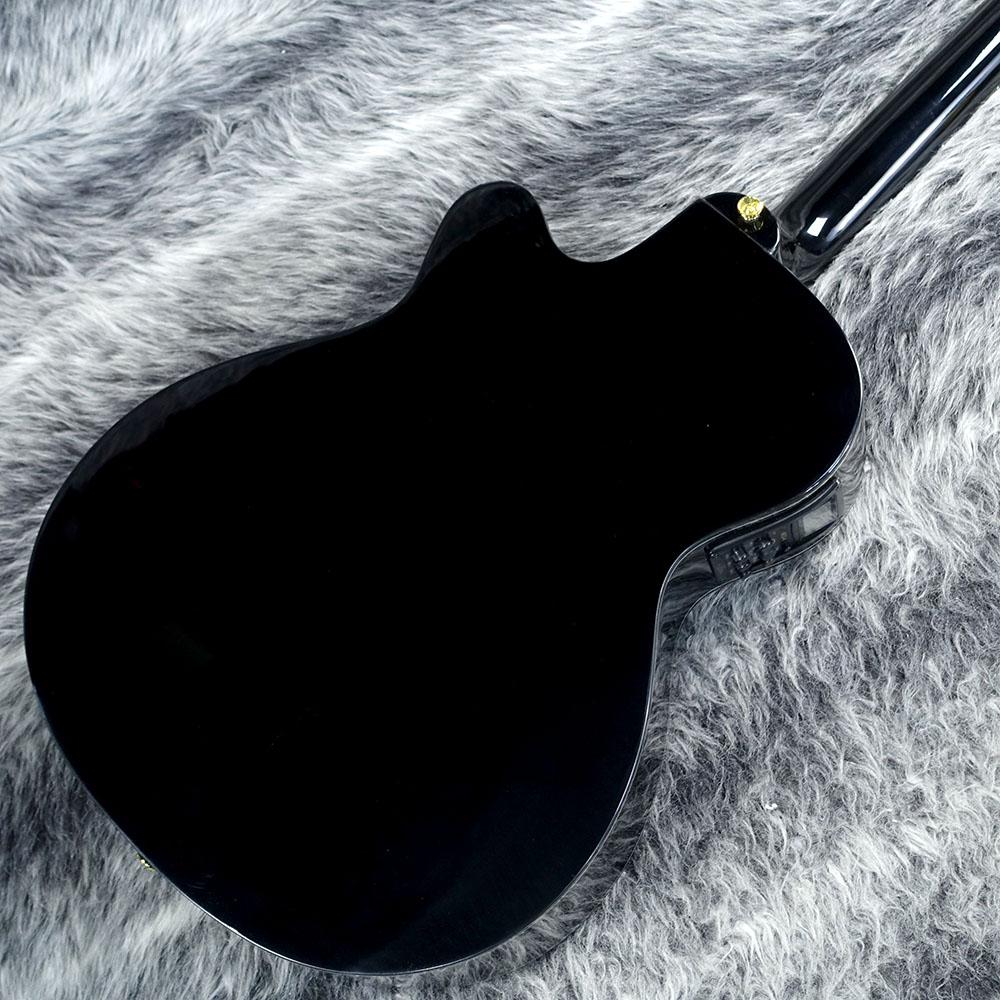 ARIA FET-F2/BnG BK ＜アリア＞｜平野楽器 ロッキン オンラインストア