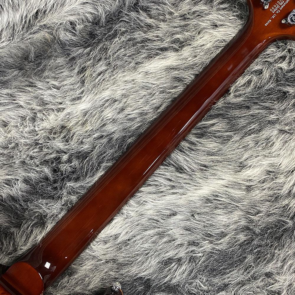 Paul Reed Smith SE Custom24 Quilt Maple Top Tortoise Shell ＜ポールリードスミス ...