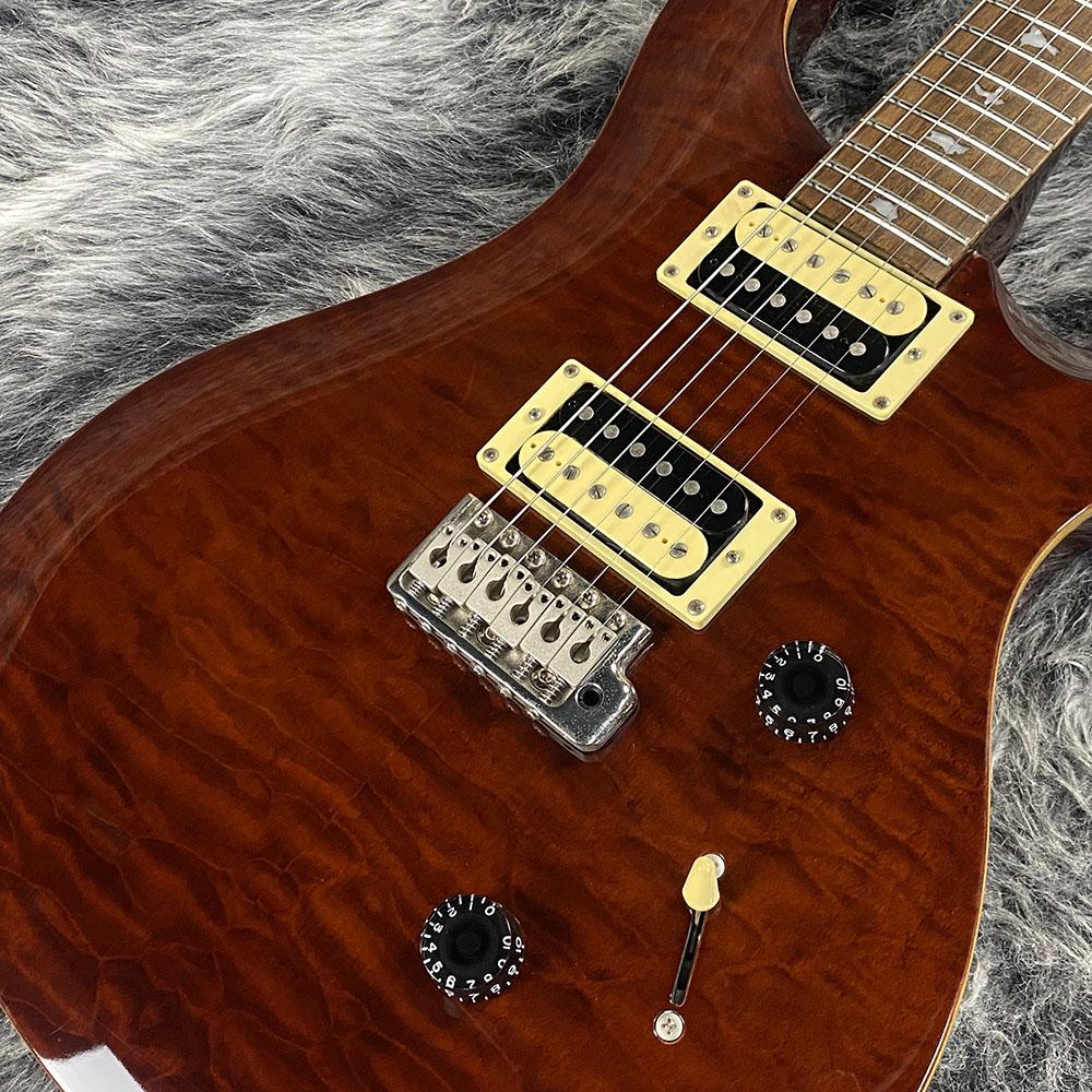 Paul Reed Smith SE Custom24 Quilt Maple Top Tortoise Shell ＜ポールリードスミス ...