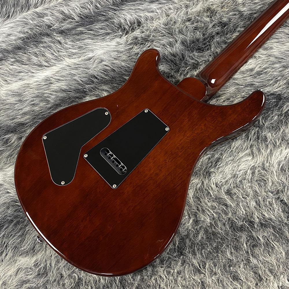 Paul Reed Smith SE Custom24 Quilt Maple Top Tortoise Shell ＜ポールリードスミス ...