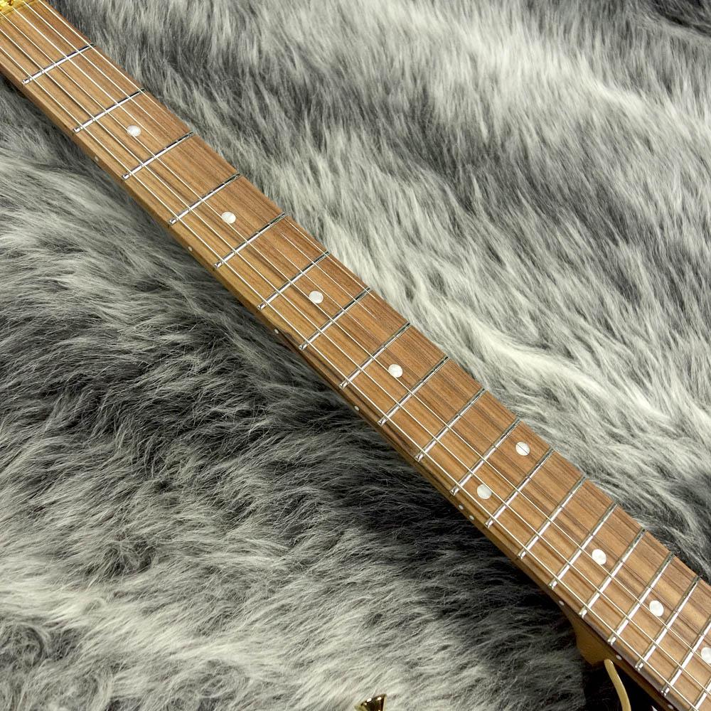 SCHECTER NV-3-22-AL Quilt Maple Top Tyger Eye Burst【オーダーモデル】 ＜シェクター＞｜平野 ...