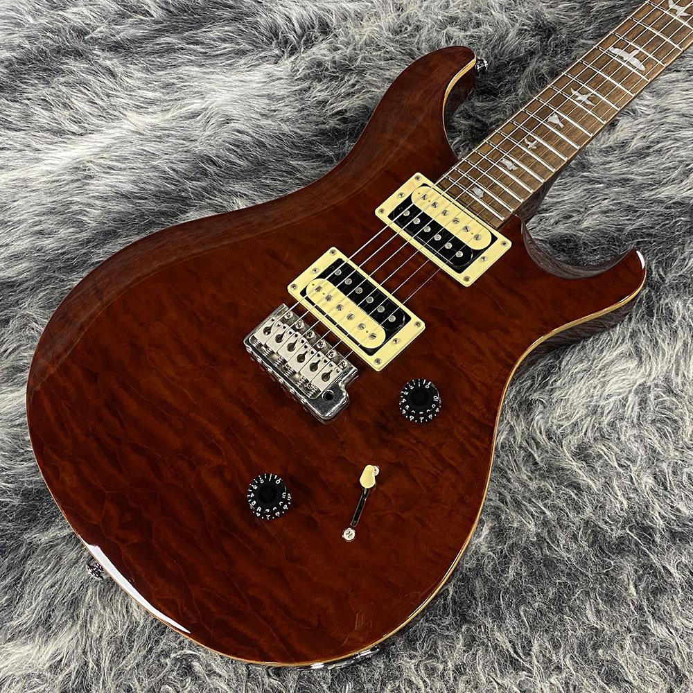 Paul Reed Smith SE Custom24 Quilt Maple Top Tortoise Shell ＜ポールリードスミス ...