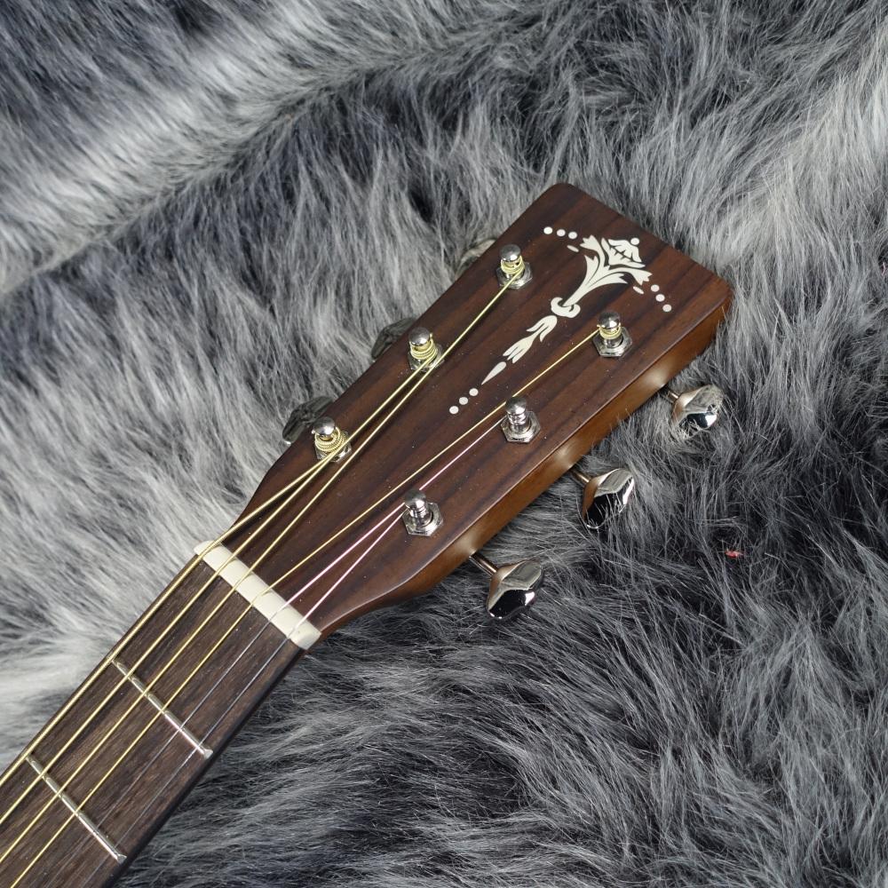 CE62 Cat's Eyes アコースティックギター フラットトップ 商品詳細 | ロッキンオンラインストア