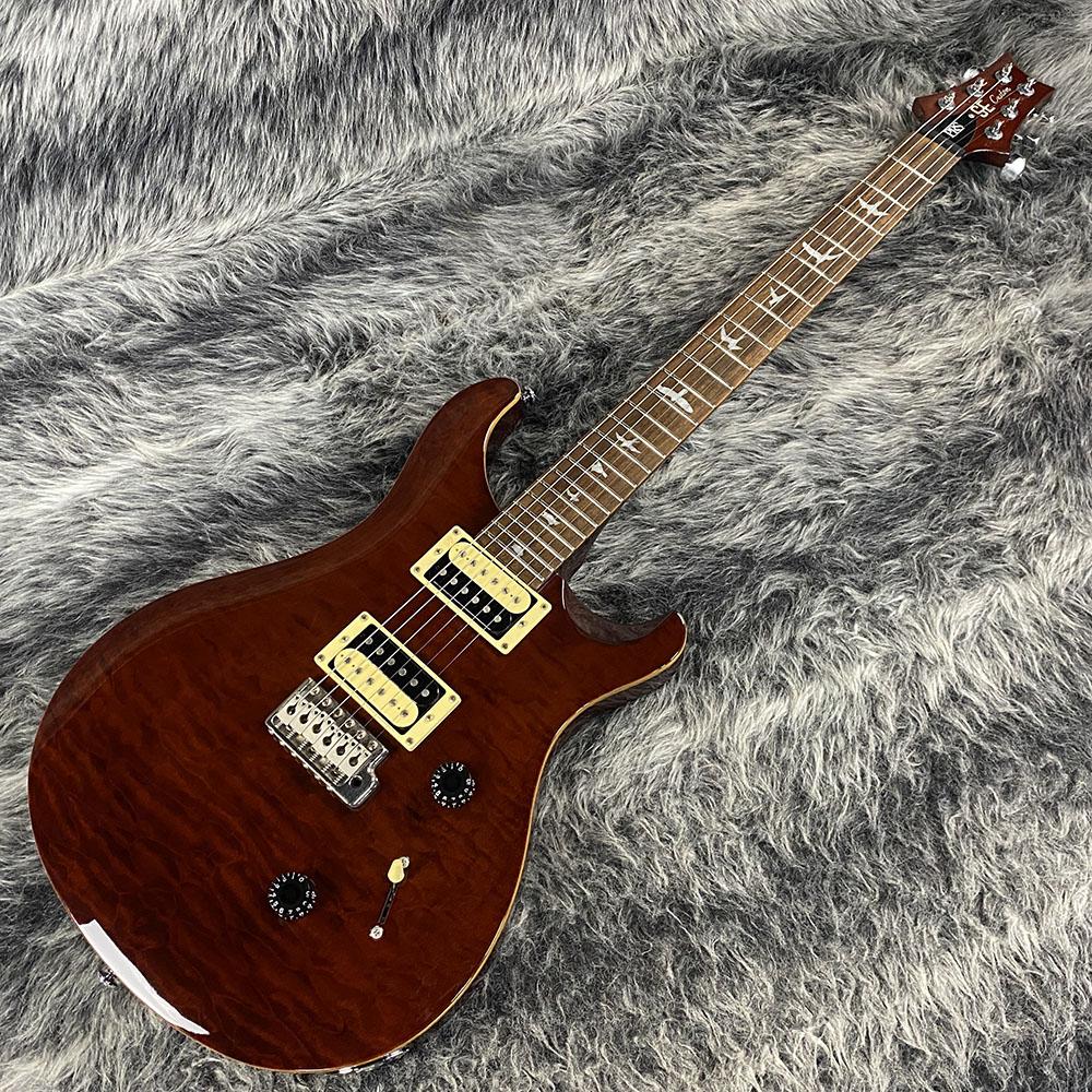 Paul Reed Smith SE Custom24 Quilt Maple Top Tortoise Shell ＜ポールリードスミス ...