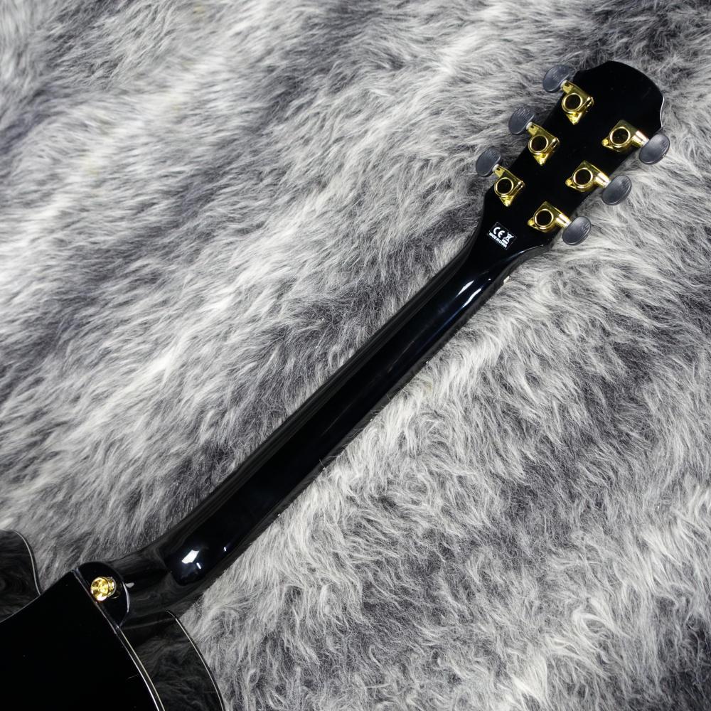 ARIA FET-F2/BnG BK ＜アリア＞｜平野楽器 ロッキン オンラインストア