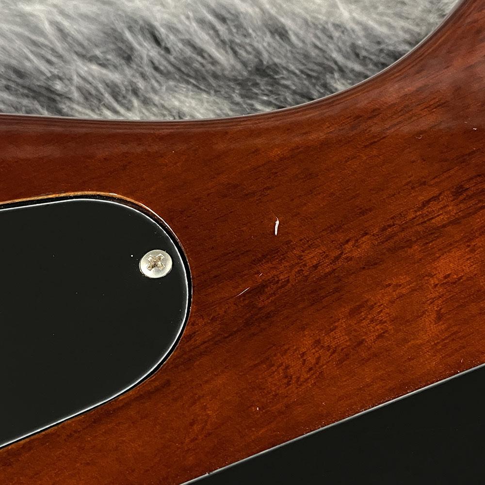 Paul Reed Smith SE Custom24 Quilt Maple Top Tortoise Shell ＜ポールリードスミス ...