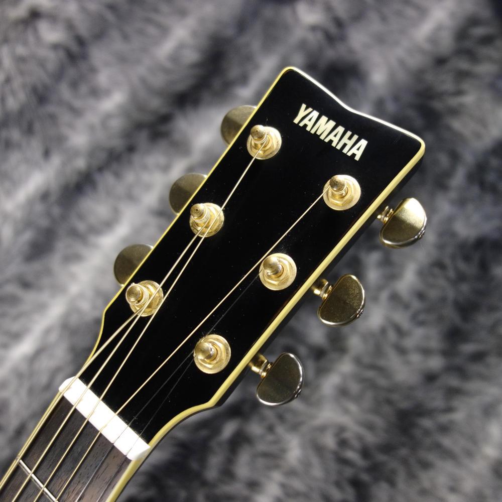 YAMAHA LL6 ARE BL ＜ヤマハ＞｜平野楽器 ロッキン オンラインストア